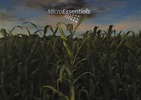 Fertilizer | Delta Growers Association